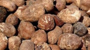 Shea Butter Business Training in Nigeria - Apprenticeship